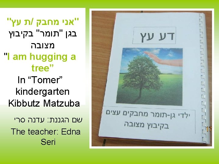 I am hugging a tree In Tomer kindergarten