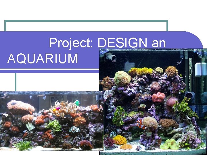 Project DESIGN an AQUARIUM DETAILS ABOUT THE PROJECT