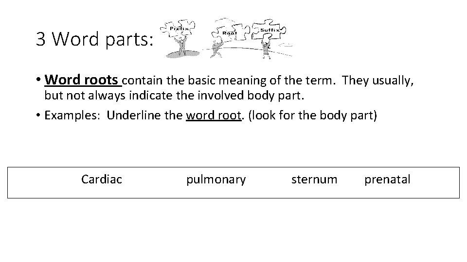 TERMSFIRST AID BASICS Objectives PART I Duties Roles