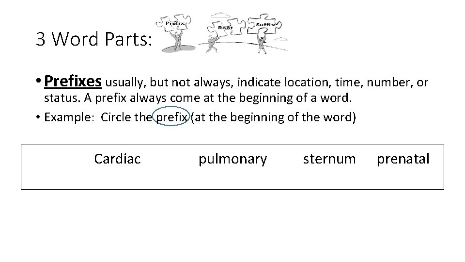 TERMSFIRST AID BASICS Objectives PART I Duties Roles