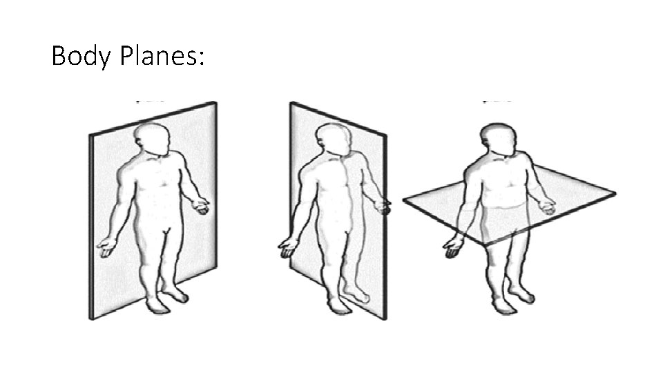 TERMSFIRST AID BASICS Objectives PART I Duties Roles