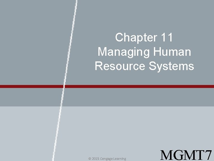 Chapter 11 Managing Human Resource Systems 2015 Cengage