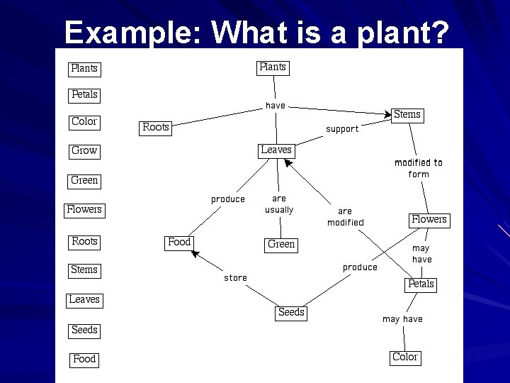 Introduction to Concept Mapping Dr Xudong William Yu