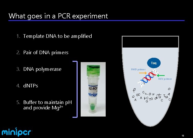 Science for everyone everywhere mini PCR Space Food