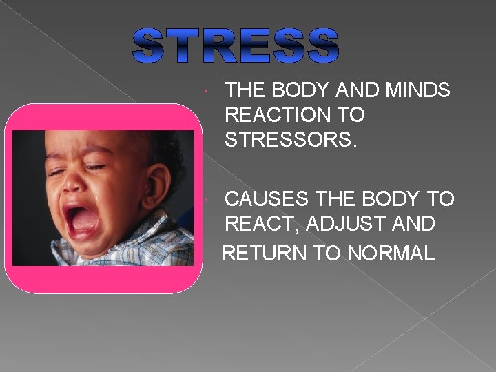 THE BODY AND MINDS REACTION TO STRESSORS CAUSES