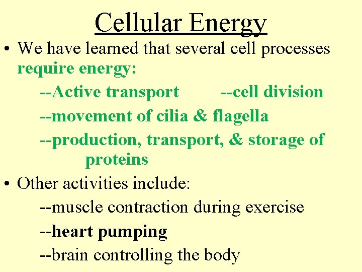 Why is it Important to Learn About Energy