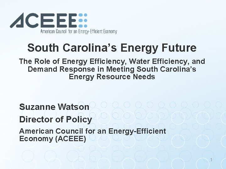 South Carolinas Energy Future The Role of Energy