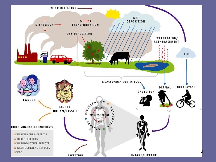 Risk Assessment for Air Toxics The 4 Basic