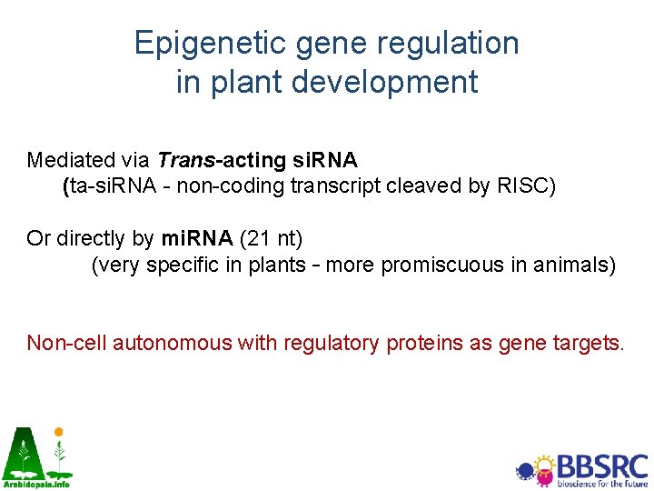 Epigenetics Functional changes to the genome that do