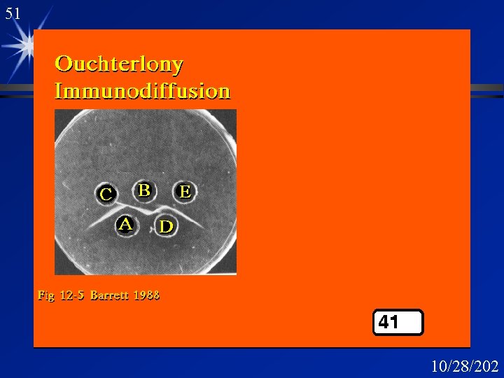 1 Antigen Antibody Interactions Precipitin Reactions Hugh B