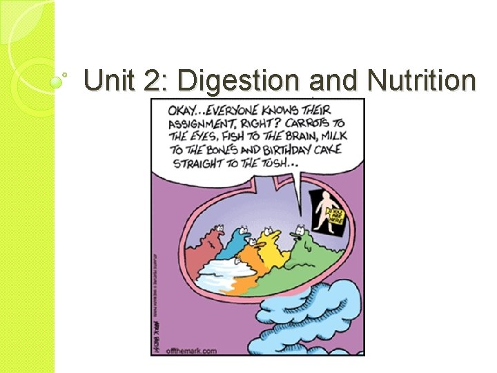 Unit 2 Digestion and Nutrition WHAT YOU WILL