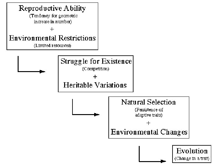 Evolution Descent with Modifications Evolution is a process