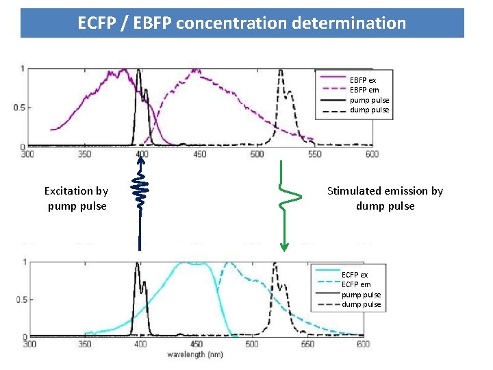 Photonic Reagents for Probing and Controlling Biological Systems