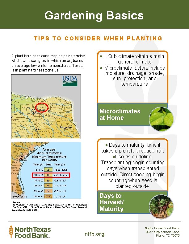 Gardening Basics TIPS TO CONSIDER WHEN PLANTING A