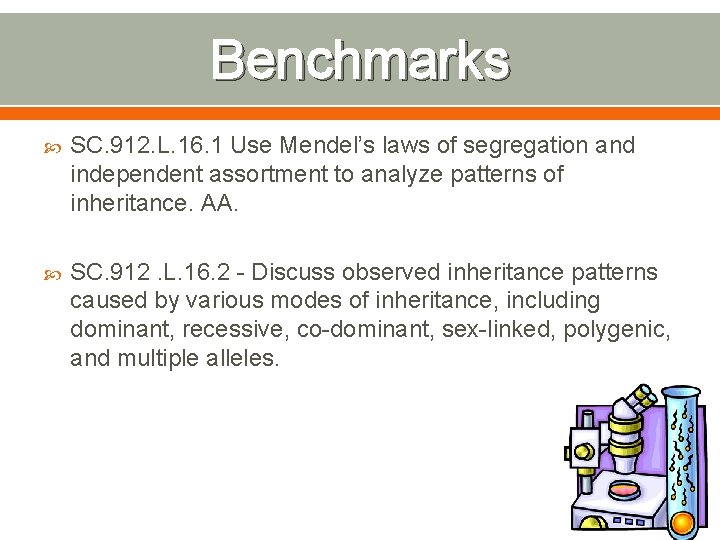 Genetics Punnett Square Benchmarks SC 912 L 16