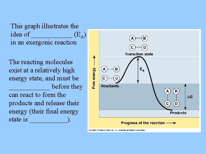 BIODIVERSITY Our story so far The earth formed