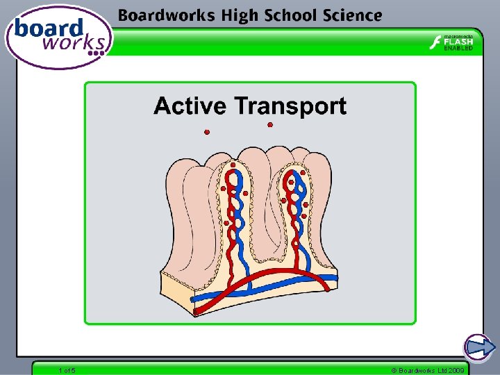 1 of 5 Boardworks Ltd 2009 What is
