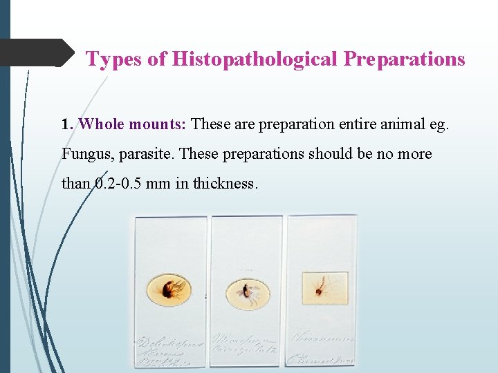 Lab 1 INTRODUCTON of HISTOPTHOLOGY INTRODUCTION Histopathology is
