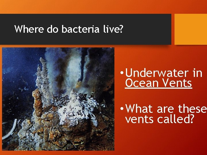 66 Biotechnology Reading Passage 67 Bacteria Microorganisms Warmup