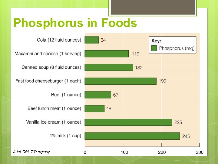Module 5 4 Major Minerals in Bone Protein