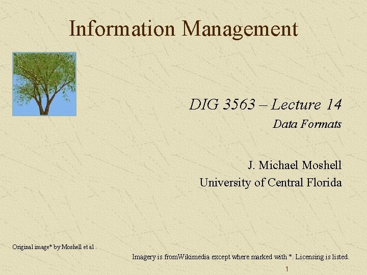 Information Management DIG 3563 Lecture 14 Data Formats