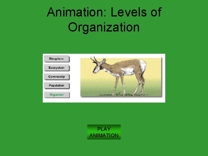 Chapter 3 Ecosystems What Are They and How