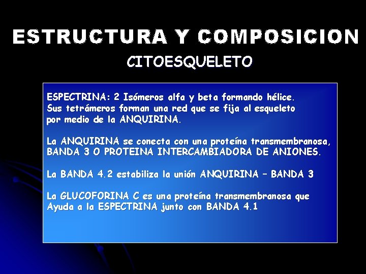 TRANSPORTAR OXIGENO A TRAVES DE LA HEMOGLOBINA QUE