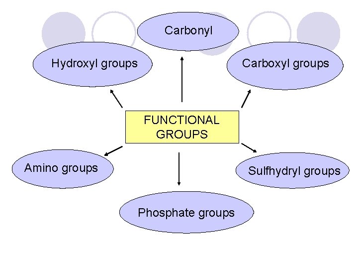 Chapter 5 Biological Molecules l Carbon based compound