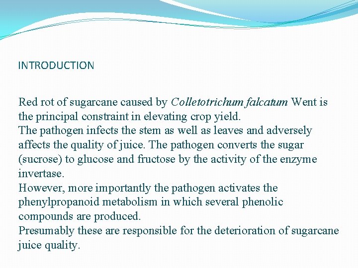 Effect of red rot of sugarcane Colletotrichum falcatum