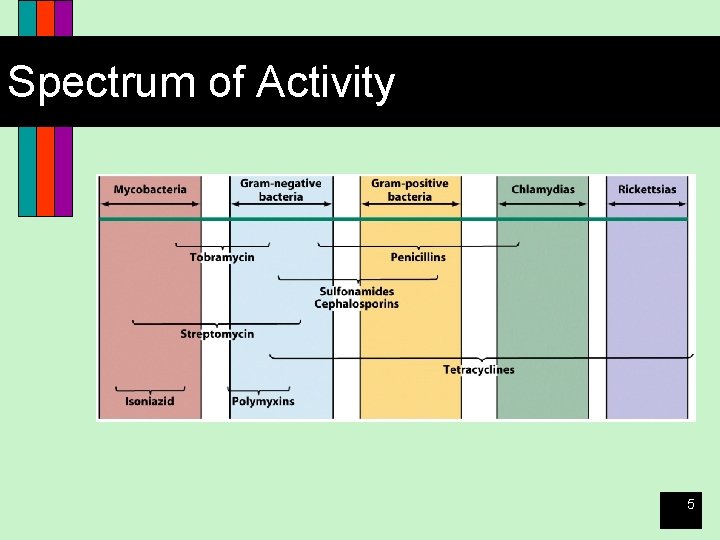 ANTIMICROBIAL THERAPY CHAPTER 13 1 Chemotherapeutic Agents n