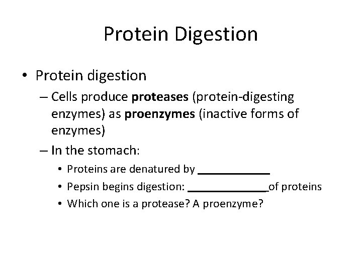 Proteins and Amino Acids Function Follows Form BIOL