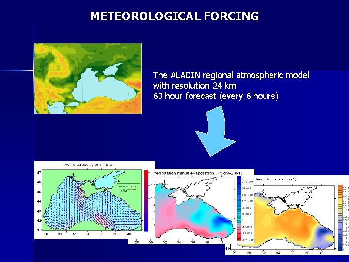 Hydrodynamic and ecological models for Black Sea operational