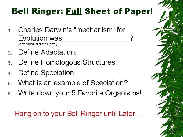 Bell Ringer Full Sheet of Paper 1 Charles