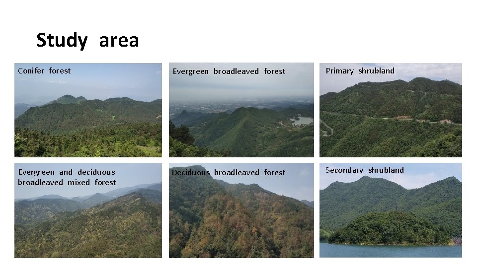 Shrub traits of forest and shrubland reveal different