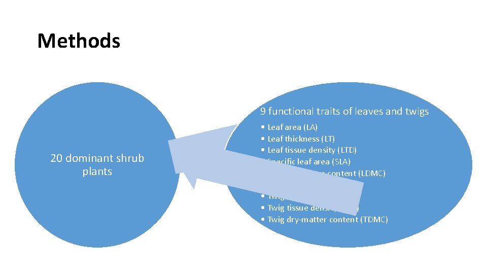Shrub traits of forest and shrubland reveal different