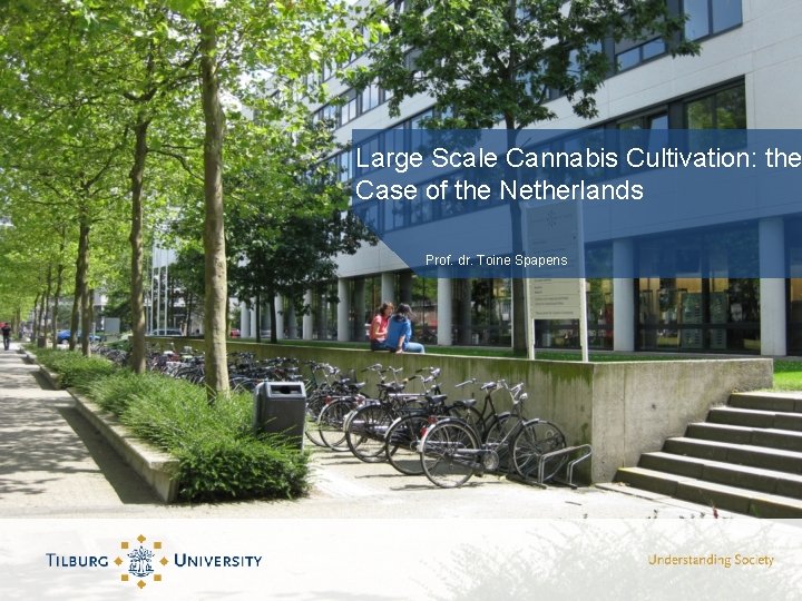 Large Scale Cannabis Cultivation the Case of the