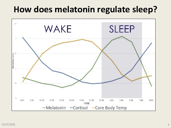 Lecture 36 Circadian Rhythms Melatonin a Swiss Army