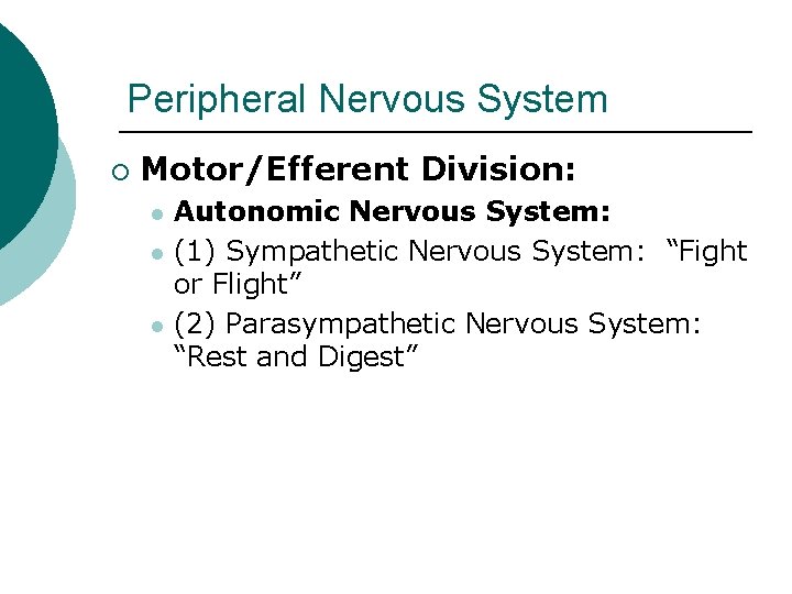 The Nervous System Fundamentals of the Nervous System