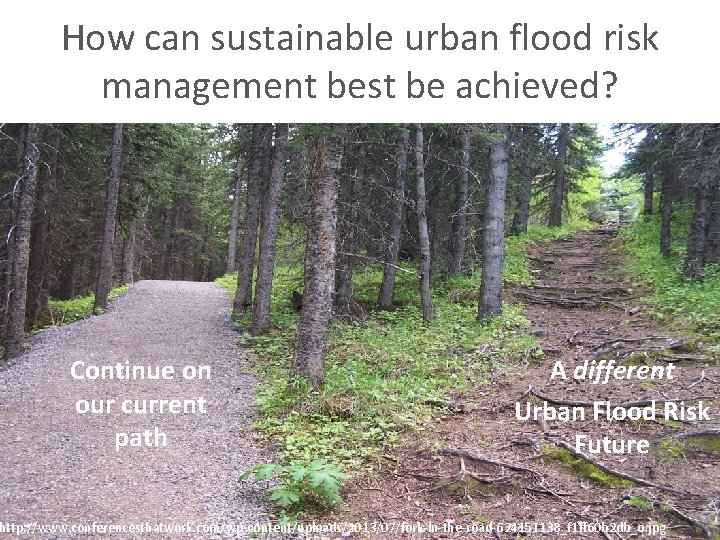 Managing Urban Flood Risk Colin Thorne University of
