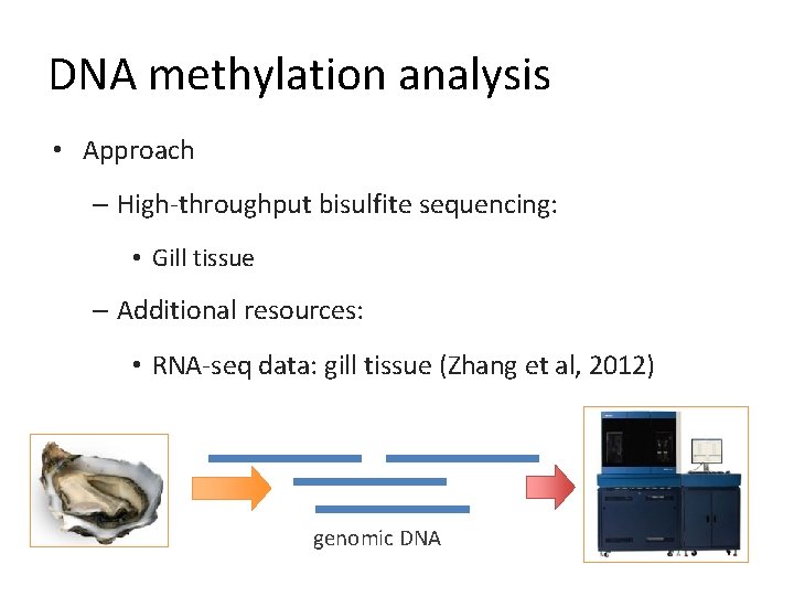 Dna Methylation Analysis Approach Highthroughput Bisulfite Sequencing Gill