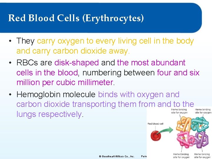 Chapter 10 The Blood Lesson 10 1 The