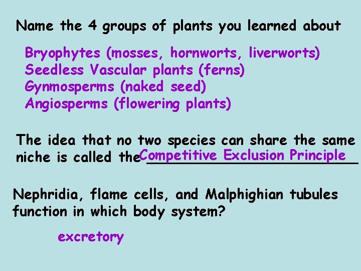 AP BIO Review http www angelfire comgasweetgeorgiapeach 1grandmom