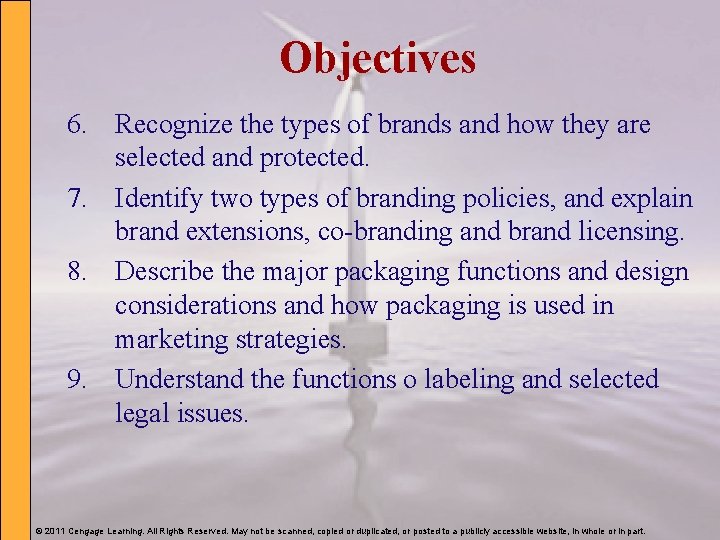 Chapter 9 Product Branding and Packaging Concepts PrideFerrell