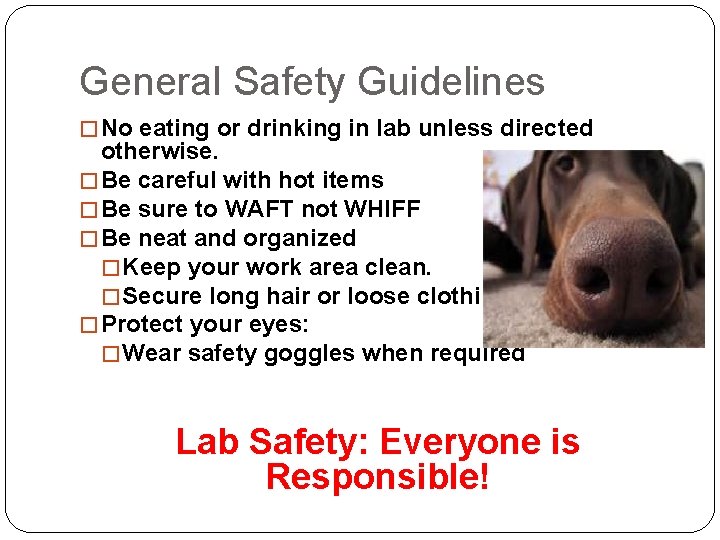 Lab Safety Procedures Mrs Floyd 6 th Grade