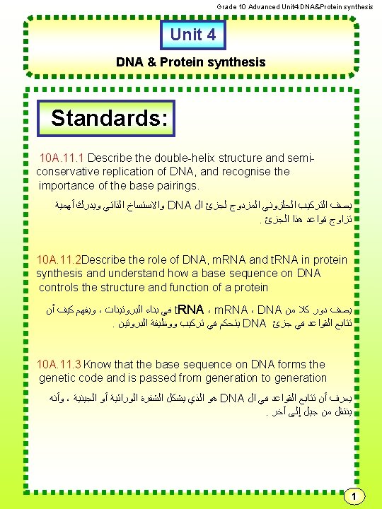 First semester Grade 10 Advanced Unit 4 DNA