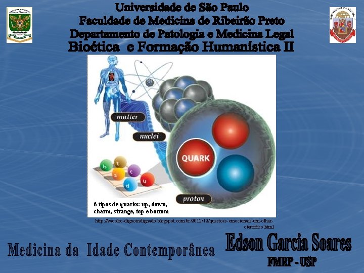 6 tipos de quarks up down charm strange