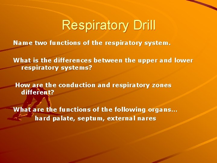 Respiratory Drill Name two functions of the respiratory