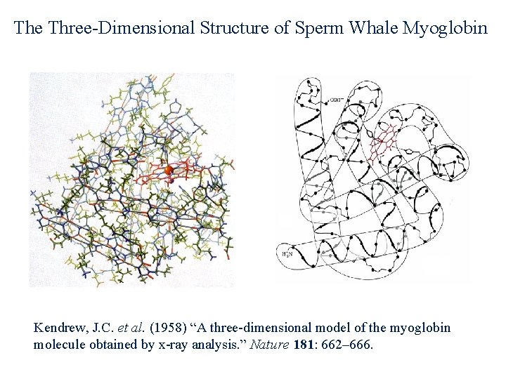 Elements of Molecular Biology Stephen Altschul National Center
