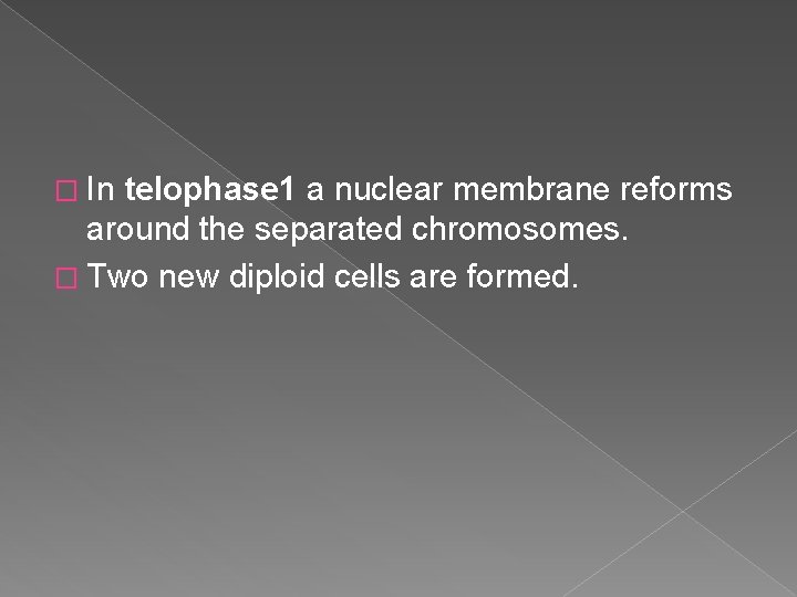 What is meiosis A type of cell division