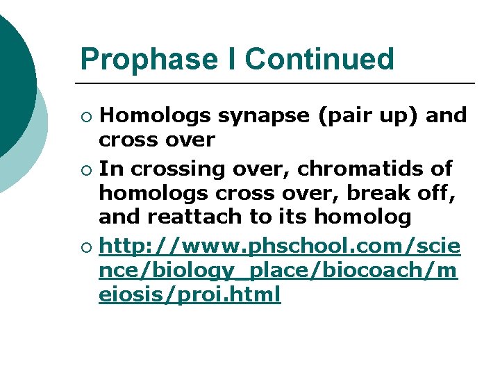 Meiosis REVIEW OF CELL CYCLE WITH MITOSIS Prophase